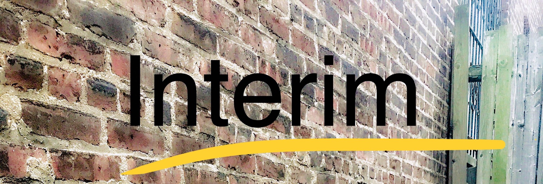 The Interim CDO: Short-term Investment, Long-lasting Results – Adine ...